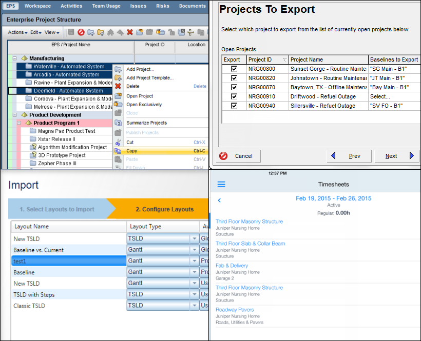 New Features in Primavera P6 EPPM 15.1